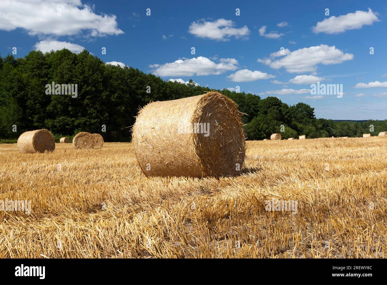 Grain harvesting enterprises hi-res stock photography and images - Alamy