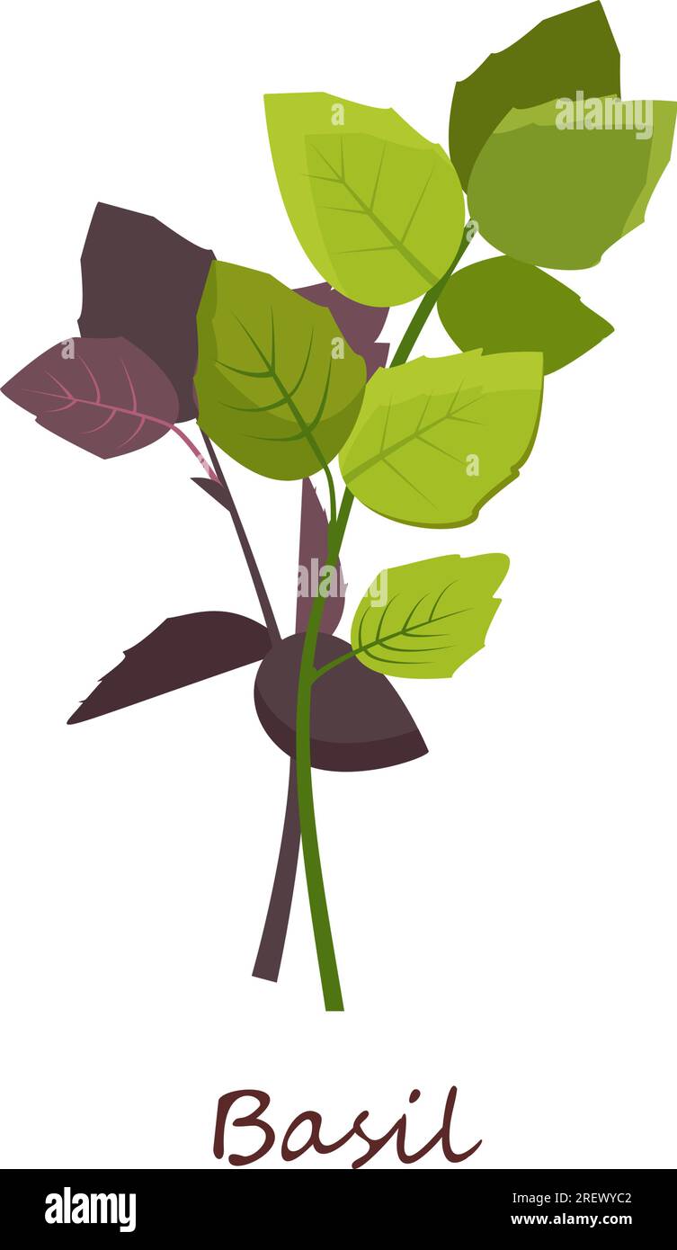 Basil logo hi-res stock photography and images - Alamy