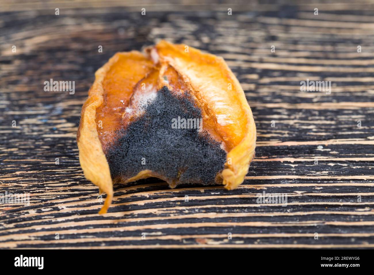 Dangerous mold hi-res stock photography and images - Alamy