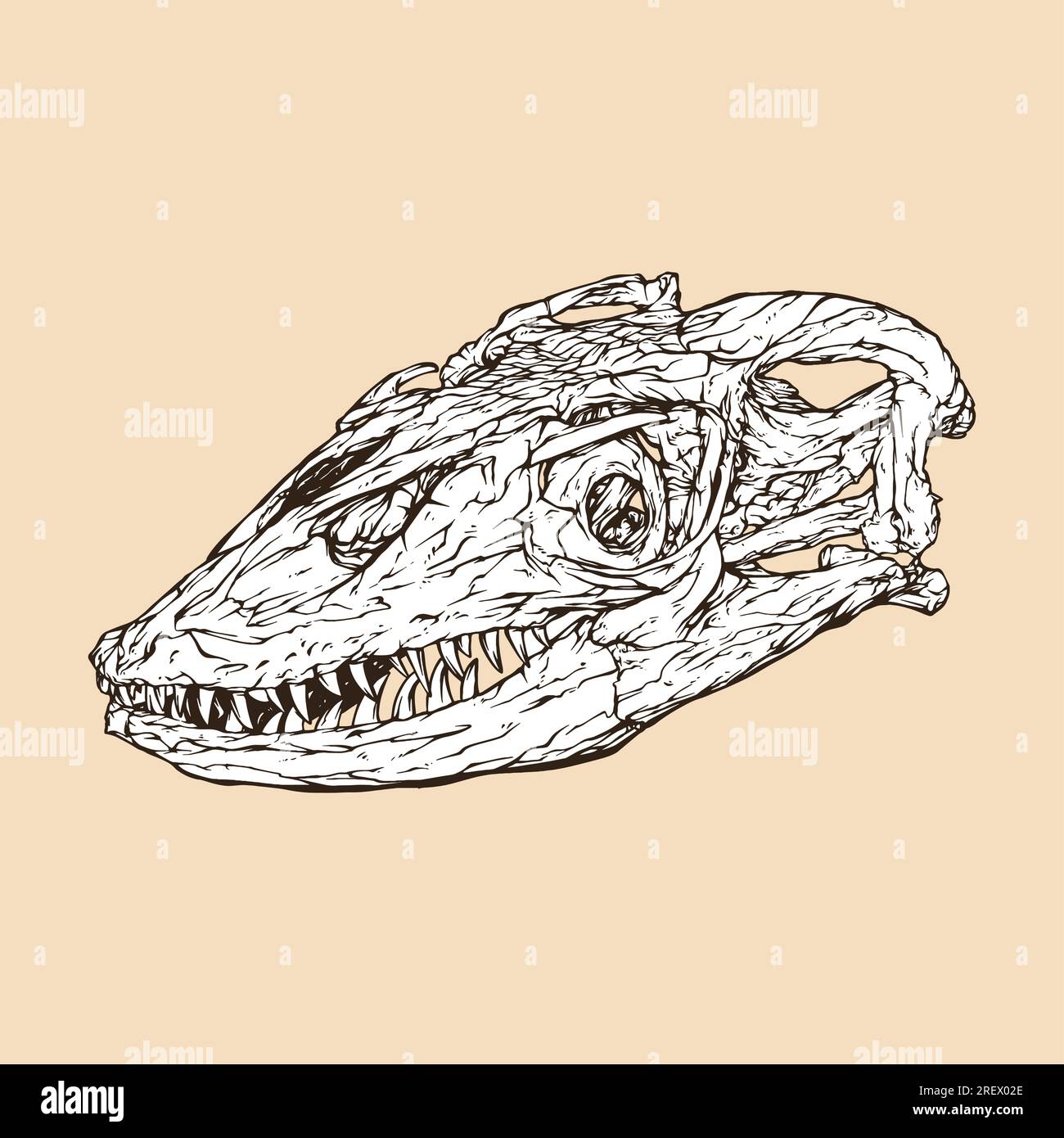 water monitor skull head vector illustration Stock Vector Image & Art ...