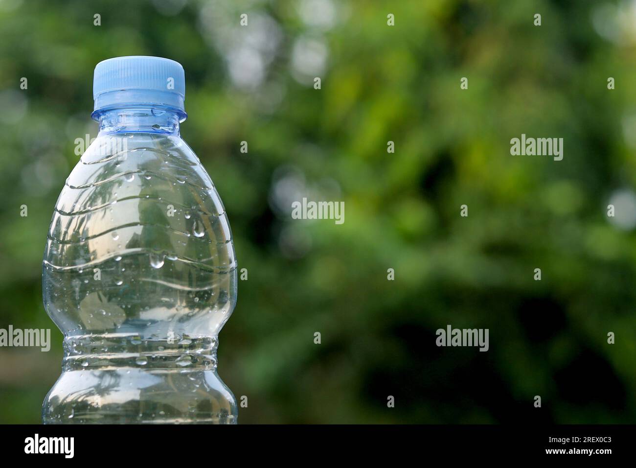 Empty plastic bottle with blurred green trees background Stock Photo ...