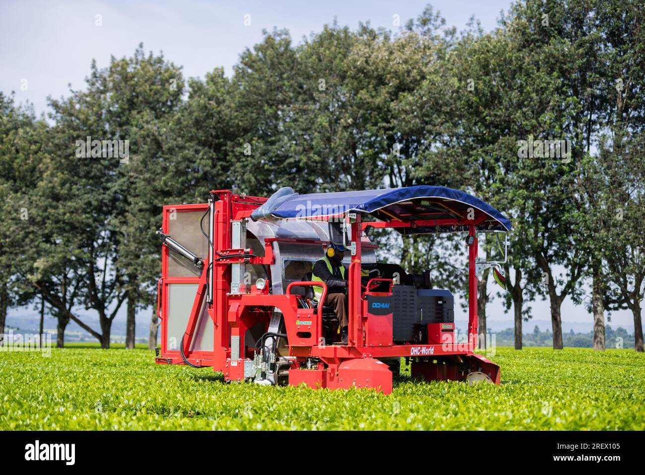 Ochiai Cutlery Manufacturing Tea Harvester Plucking Machine Stock Photo ...
