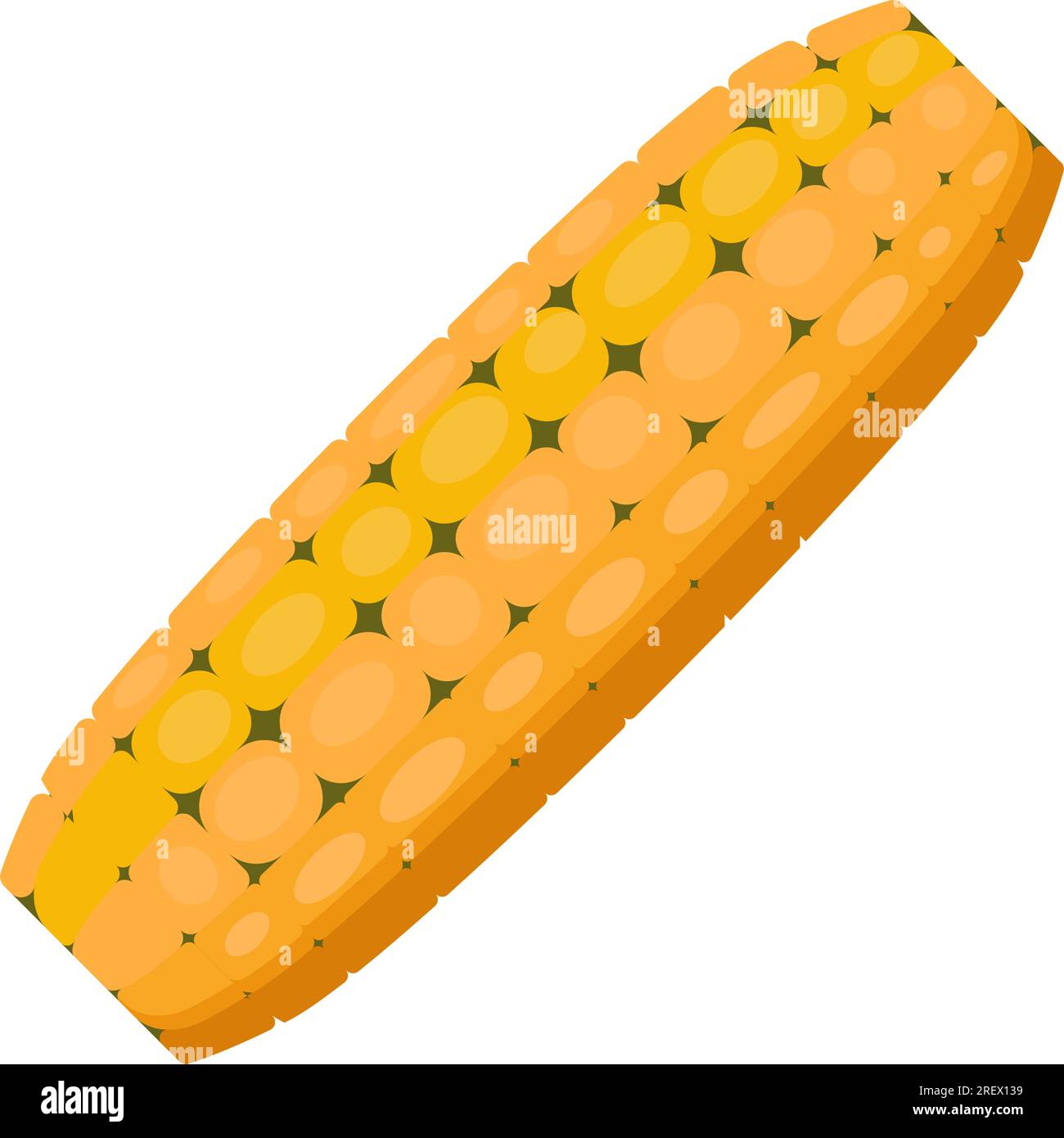 Corn cob illustration Stock Vector Image & Art - Alamy