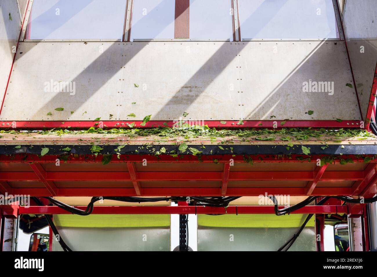 Ochiai Cutlery Manufacturing Tea Harvester Plucking Machine Stock Photo ...