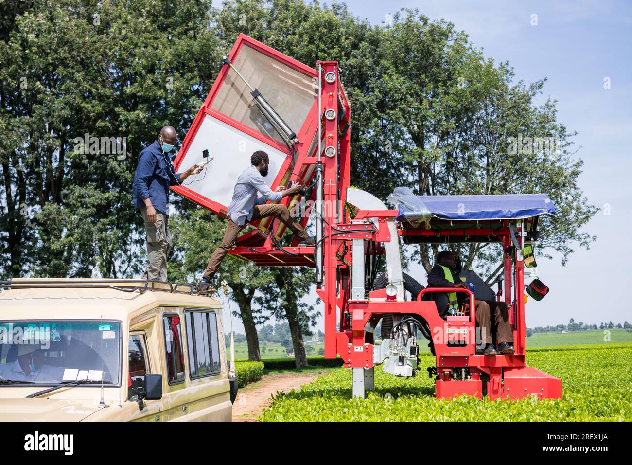 Ochiai Cutlery Manufacturing Tea Harvester Plucking Machine Stock Photo ...