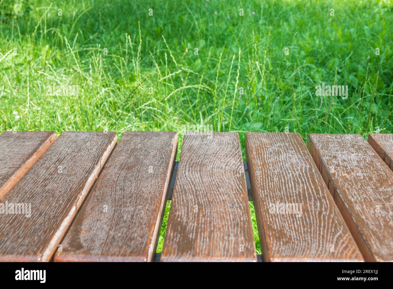 Wooden table with green grass on the background. Product photography ...