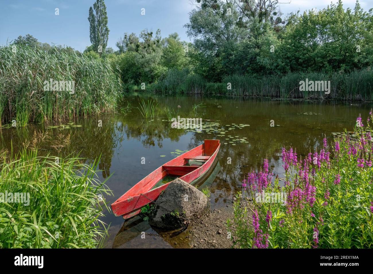 Floating wildflowers hi-res stock photography and images - Alamy