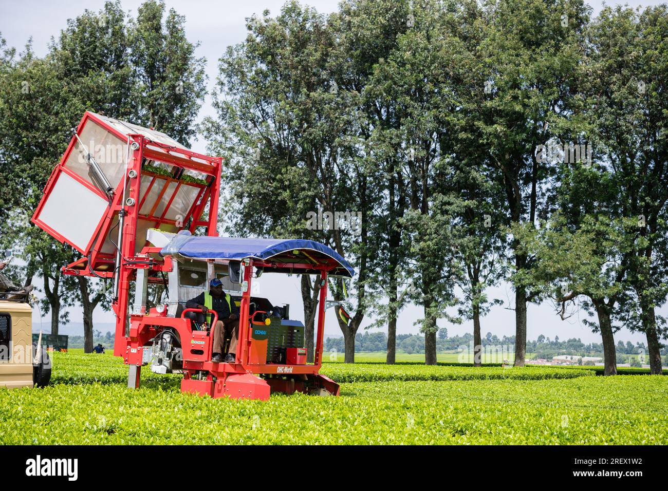 Ochiai Cutlery Manufacturing Tea Harvester Plucking Machine Stock Photo ...