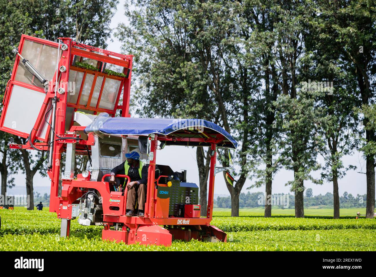 Ochiai Cutlery Manufacturing Tea Harvester Plucking Machine Stock Photo ...