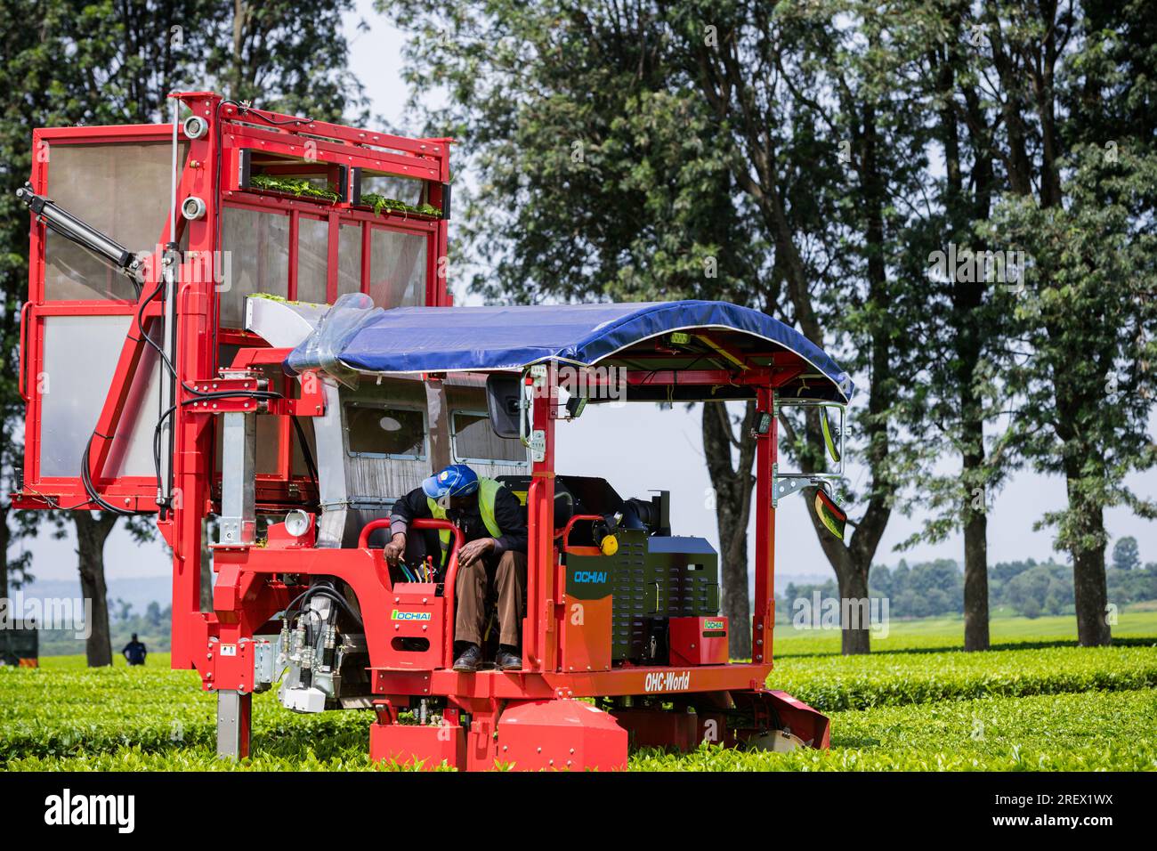 Ochiai Cutlery Manufacturing Tea Harvester Plucking Machine Stock Photo ...