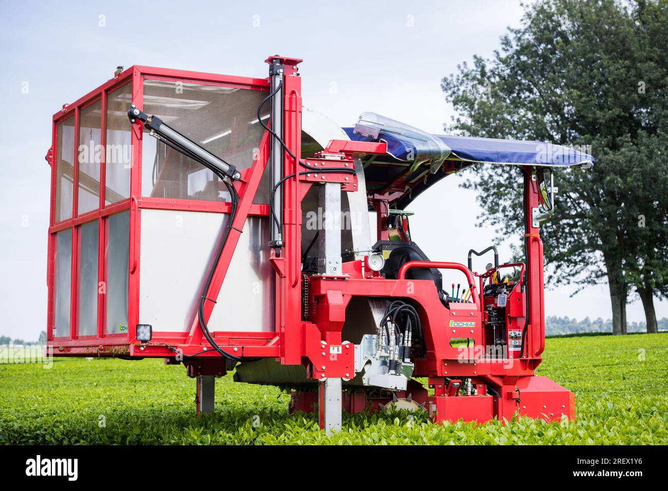 Ochiai Cutlery Manufacturing Tea Harvester Plucking Machine Stock Photo ...