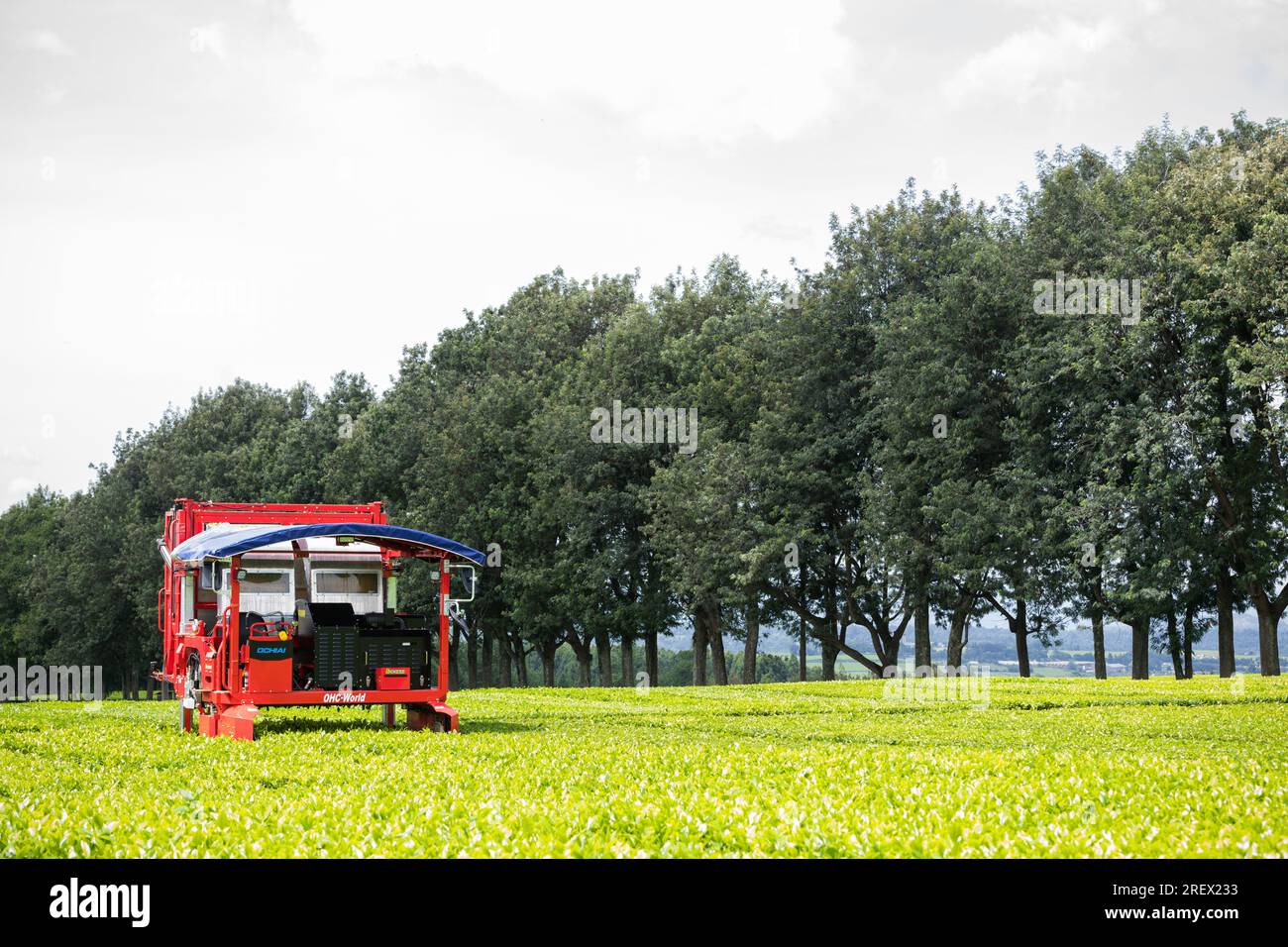 Ochiai Cutlery Manufacturing Tea Harvester Plucking Machine Stock Photo ...