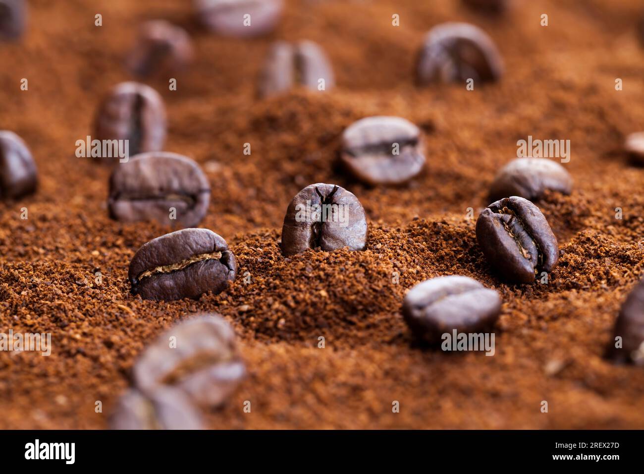 roasted beans are placed on ground coffee, ingredients that can be used ...