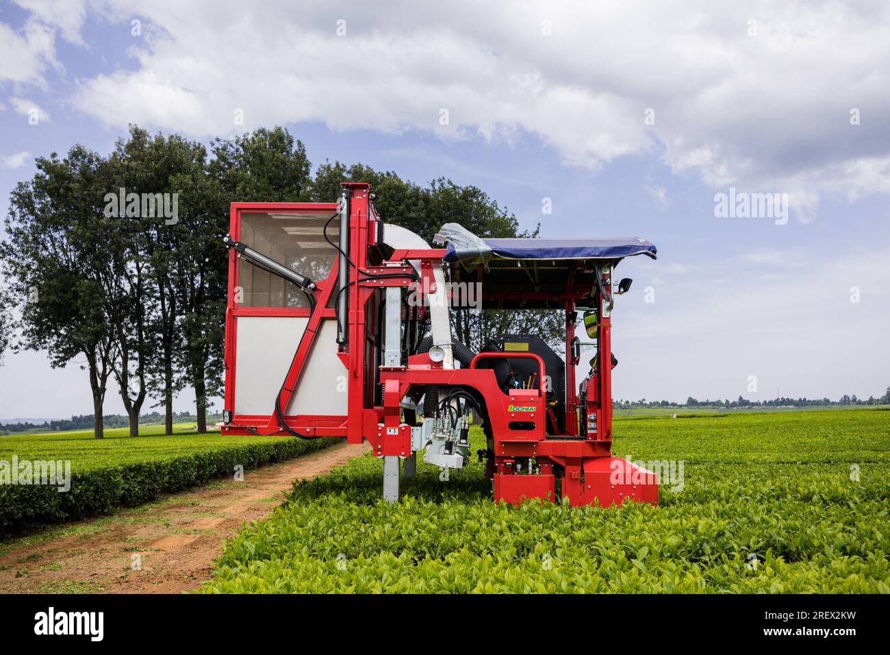 Ochiai Cutlery Manufacturing Tea Harvester Plucking Machine Stock Photo ...