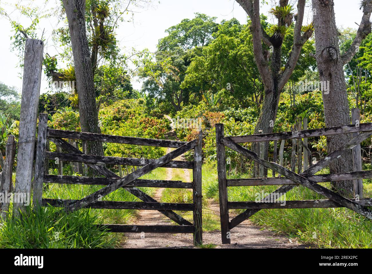 Wooden gate at the entrance to a farm with green forest in the ...