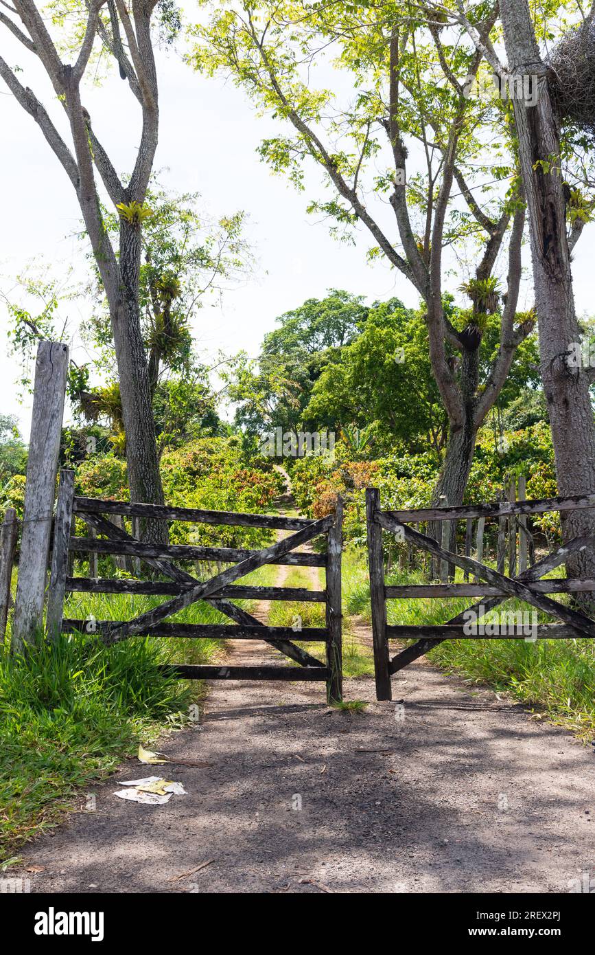 Wooden gate at the entrance to a farm with green forest in the ...