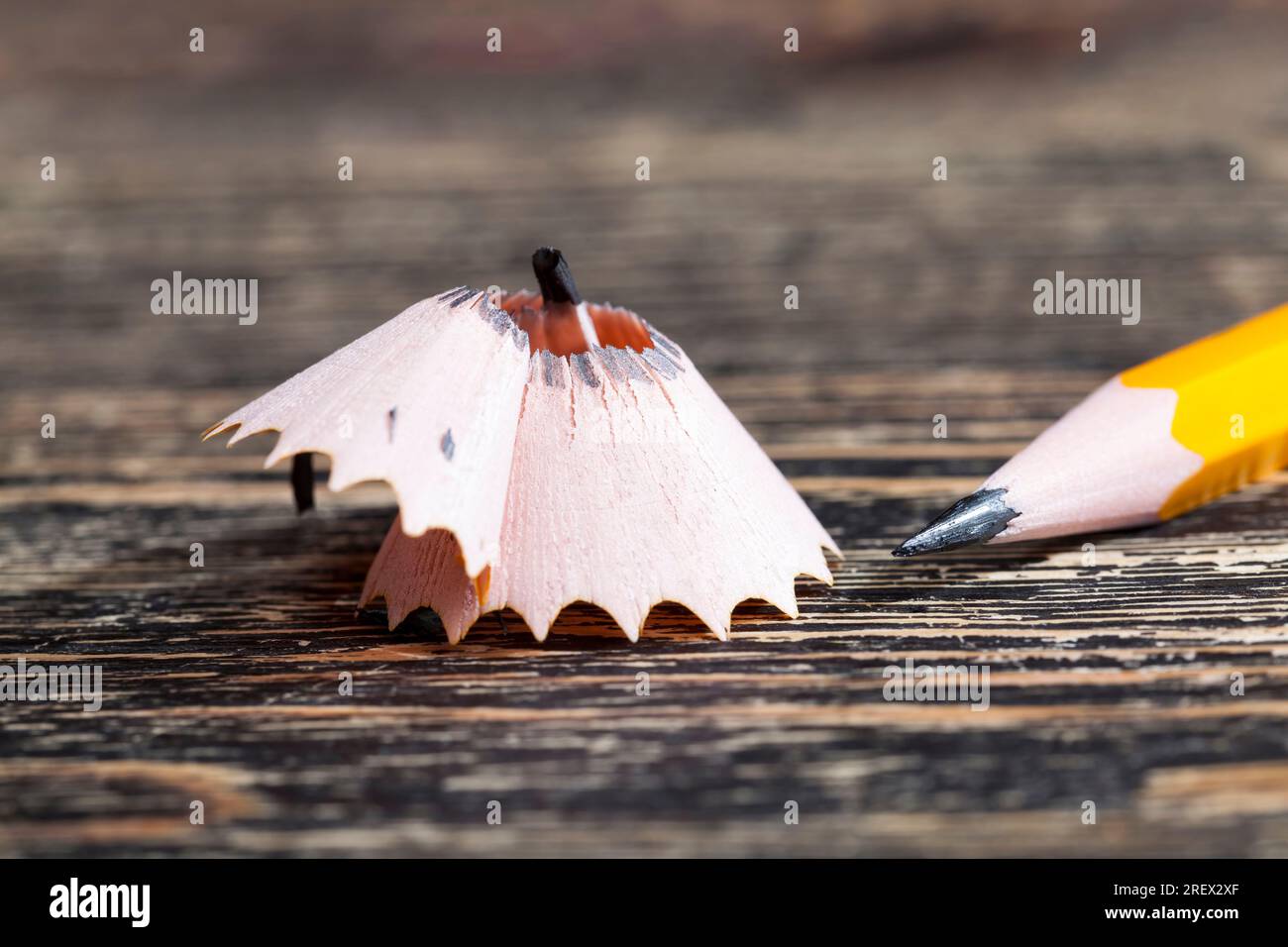 pencil shavings after sharpening, wood debris and parts of pencil lead ...