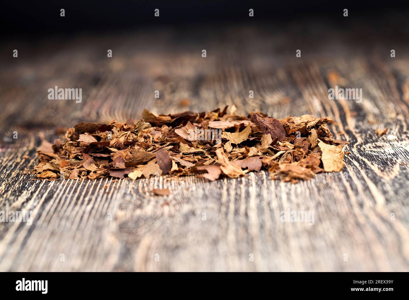 dangerous tobacco from cigarettes, tobacco from cigarettes causing ...