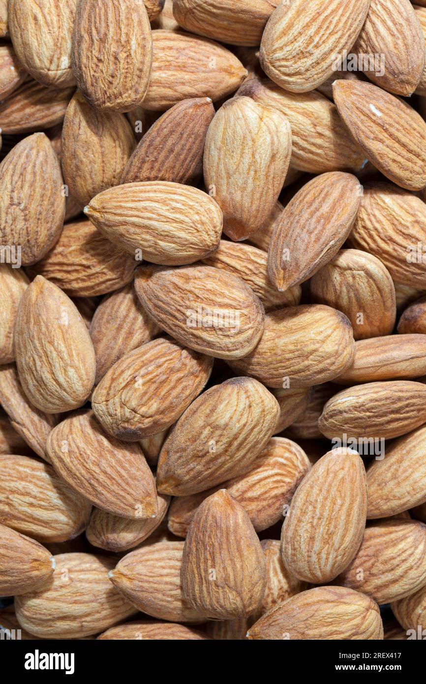 quality raw nuts ready to eat, almonds on the kitchen table during ...