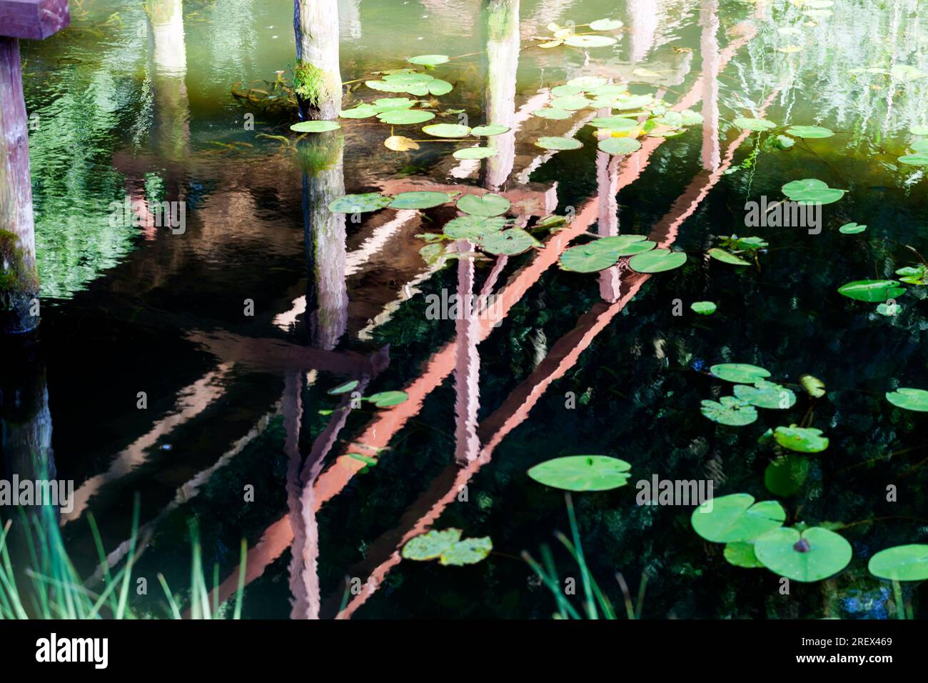 a simple wooden bridge built across a narrow river for the convenience ...