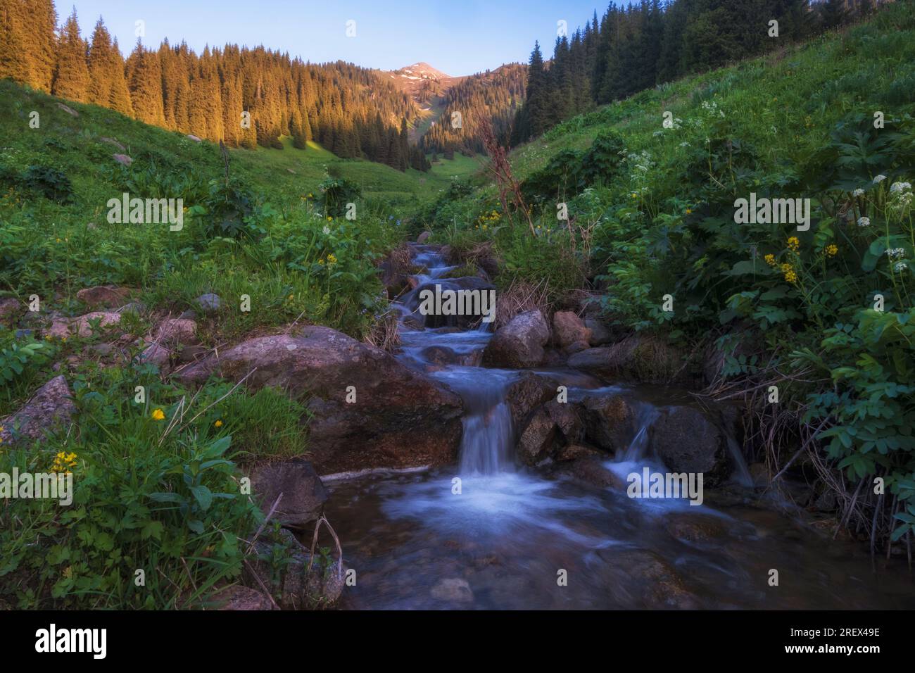 Small almaty gorge hi-res stock photography and images - Alamy