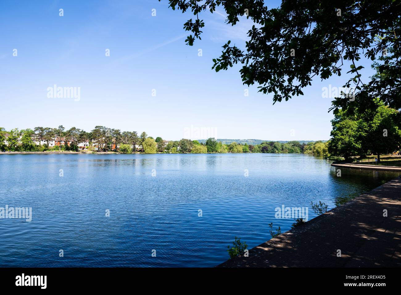 Roath Park stands in a beautiful location at the centre of this busy ...