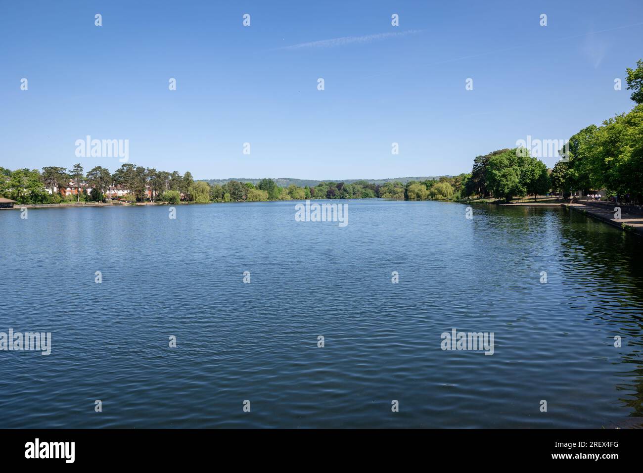 Roath Park stands in a beautiful location at the centre of this busy ...