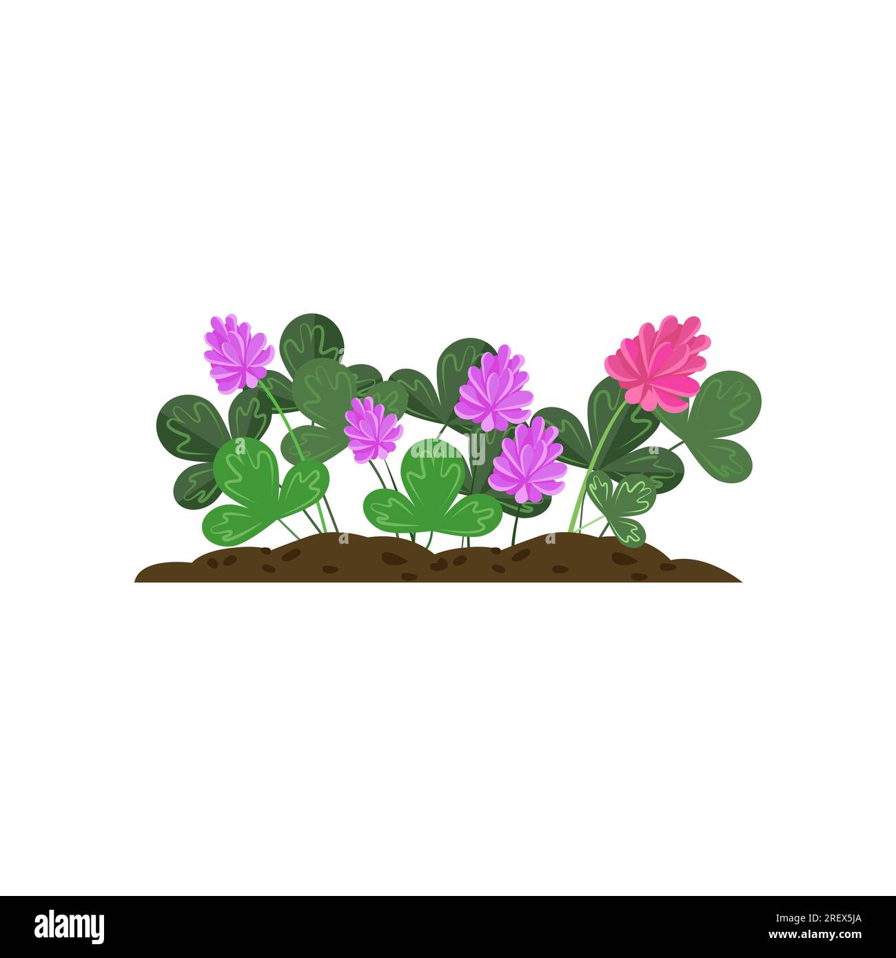 Clover cartoon illustration Stock Vector Image & Art - Alamy