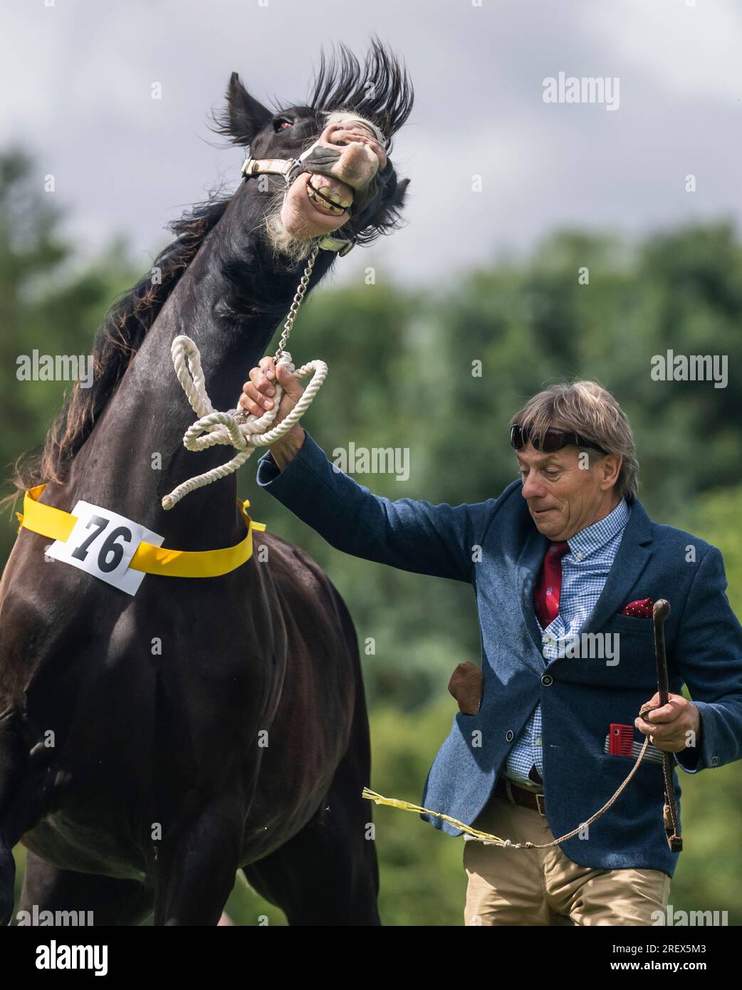 A horse rears up during the Northern Heavy Horse Society Annual Summer ...