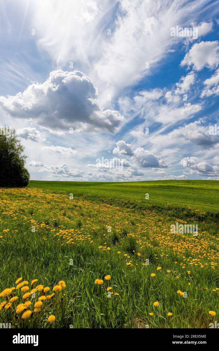 agricultural activities in the field of crop production, seasonal ...