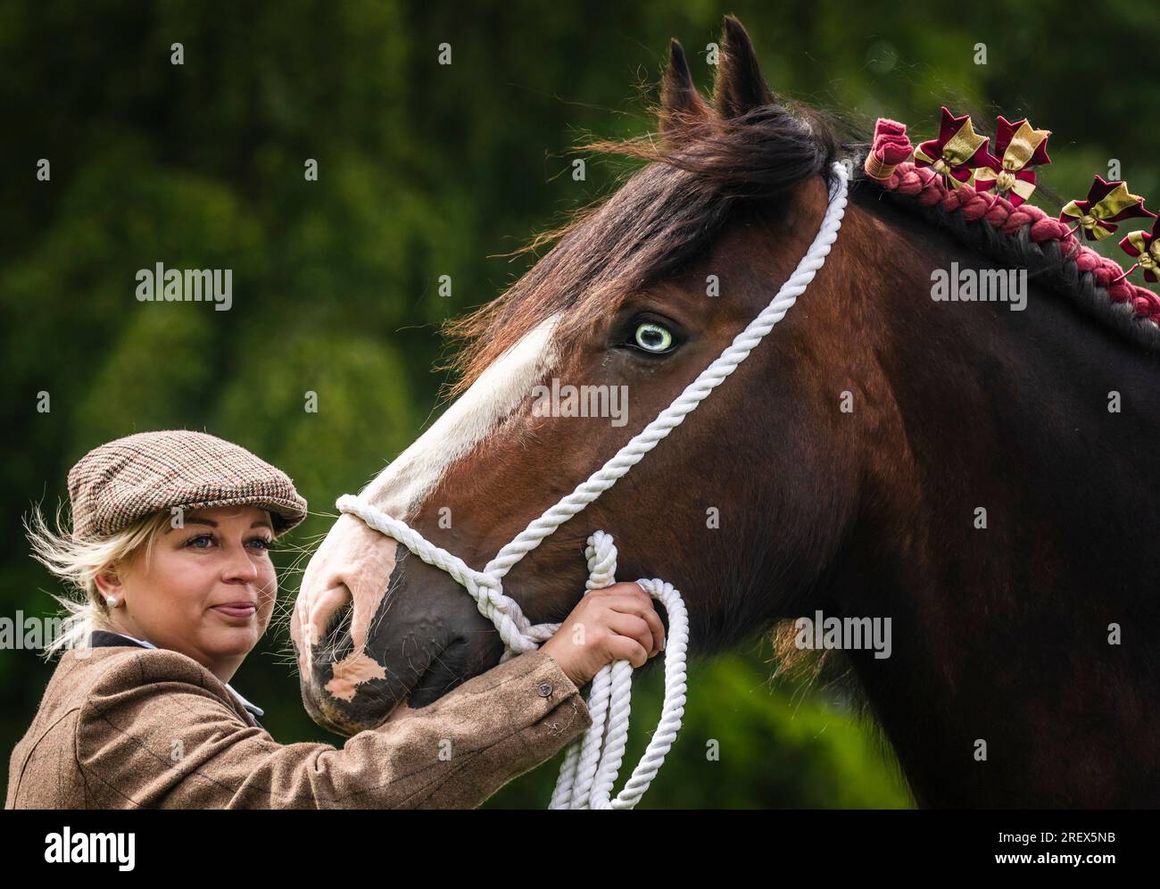 A participant with her horse during the Northern Heavy Horse Society ...