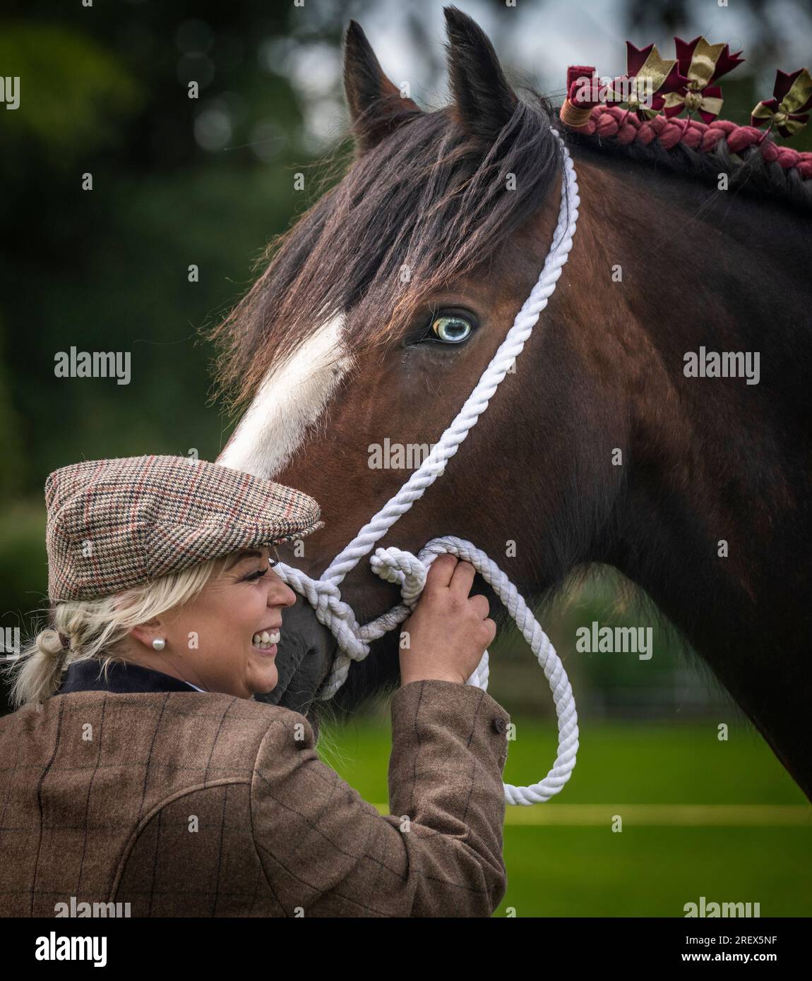 A participant with her horse during the Northern Heavy Horse Society ...