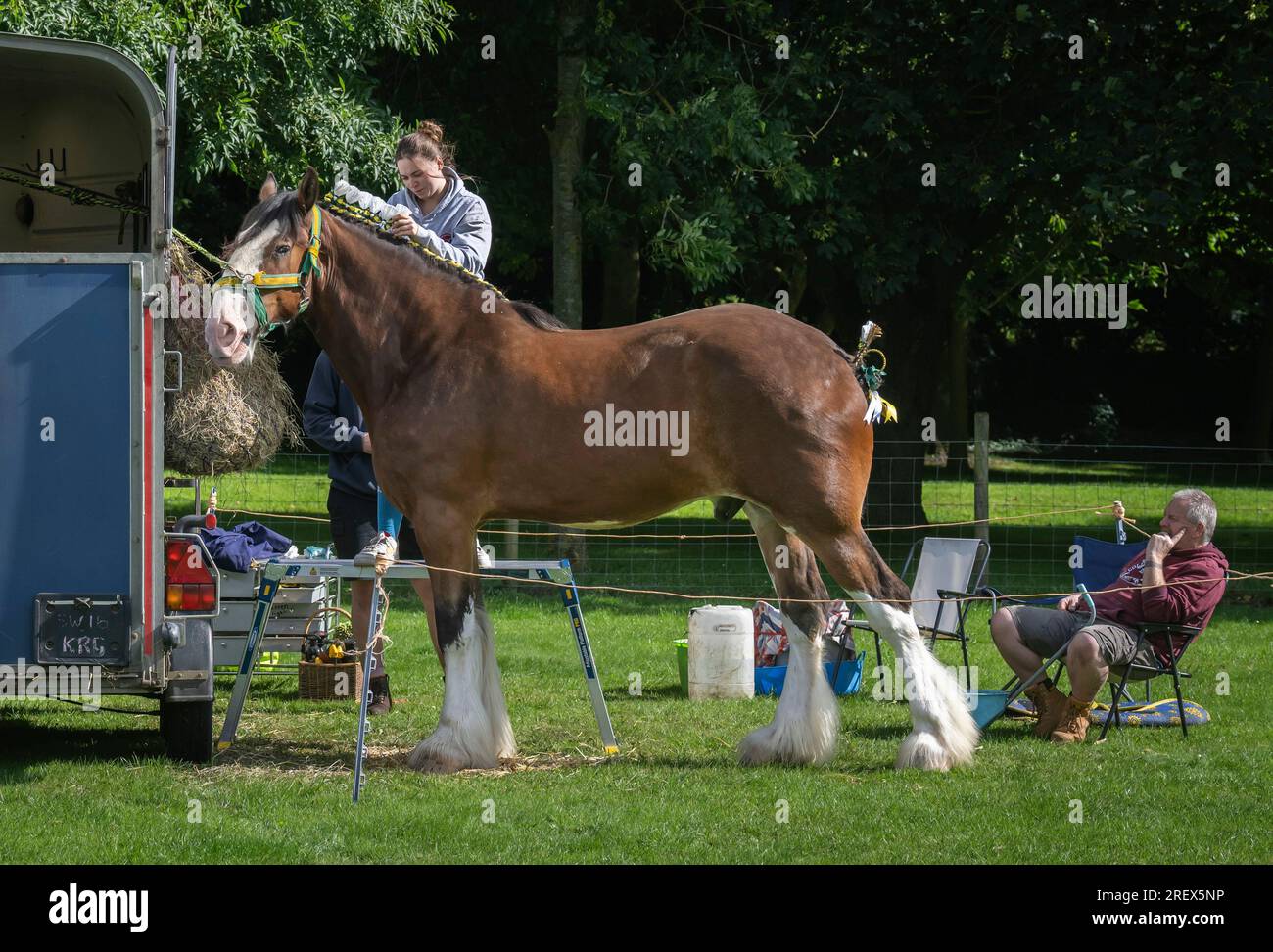 A horse is prepared ahead of entering the show ring during the Northern ...