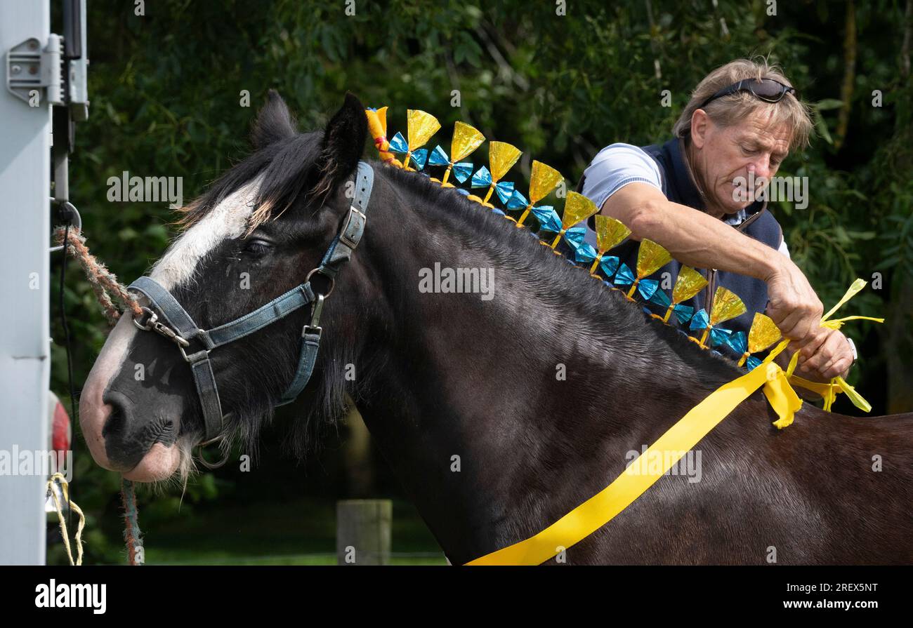 A horse is prepared ahead of entering the show ring during the Northern ...