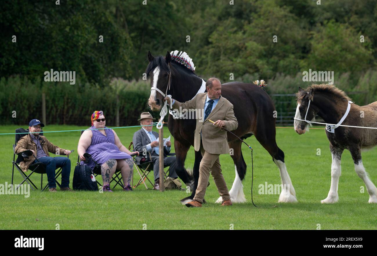 A participant takes part in the Northern Heavy Horse Society Annual ...
