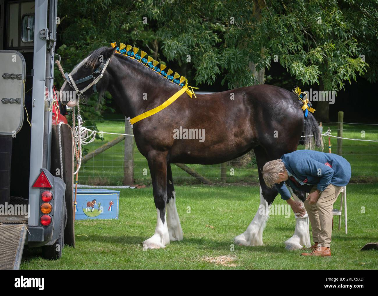 A horse is prepared ahead of entering the show ring during the Northern ...