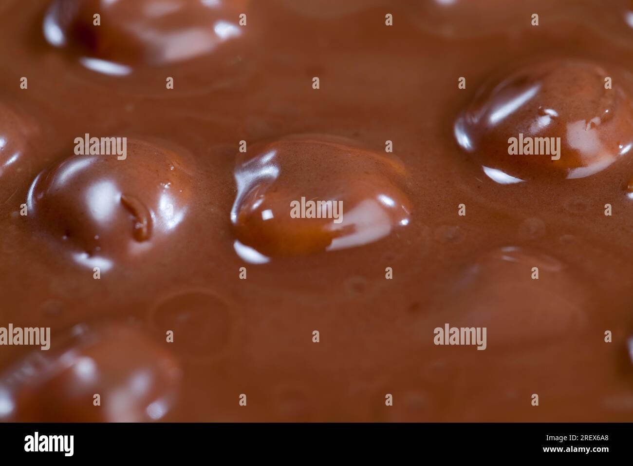 hazelnuts in chocolate, added nuts in sweet chocolate made from cocoa ...