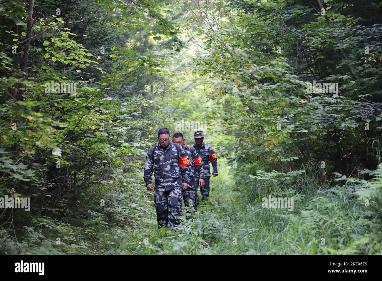 Paves technology hi-res stock photography and images - Alamy