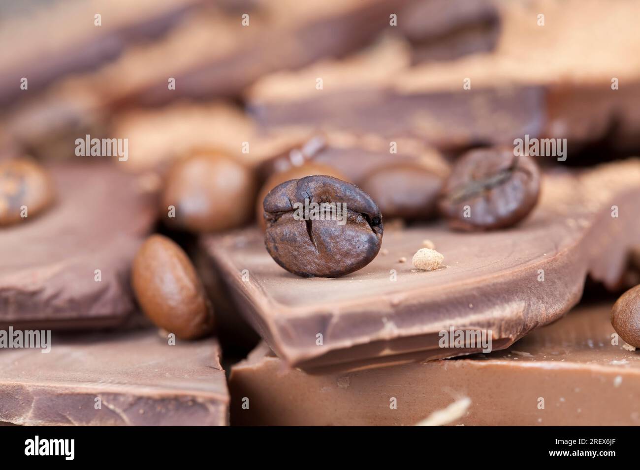chocolate bar with cocoa powder topping and coffee beans, close up of ...