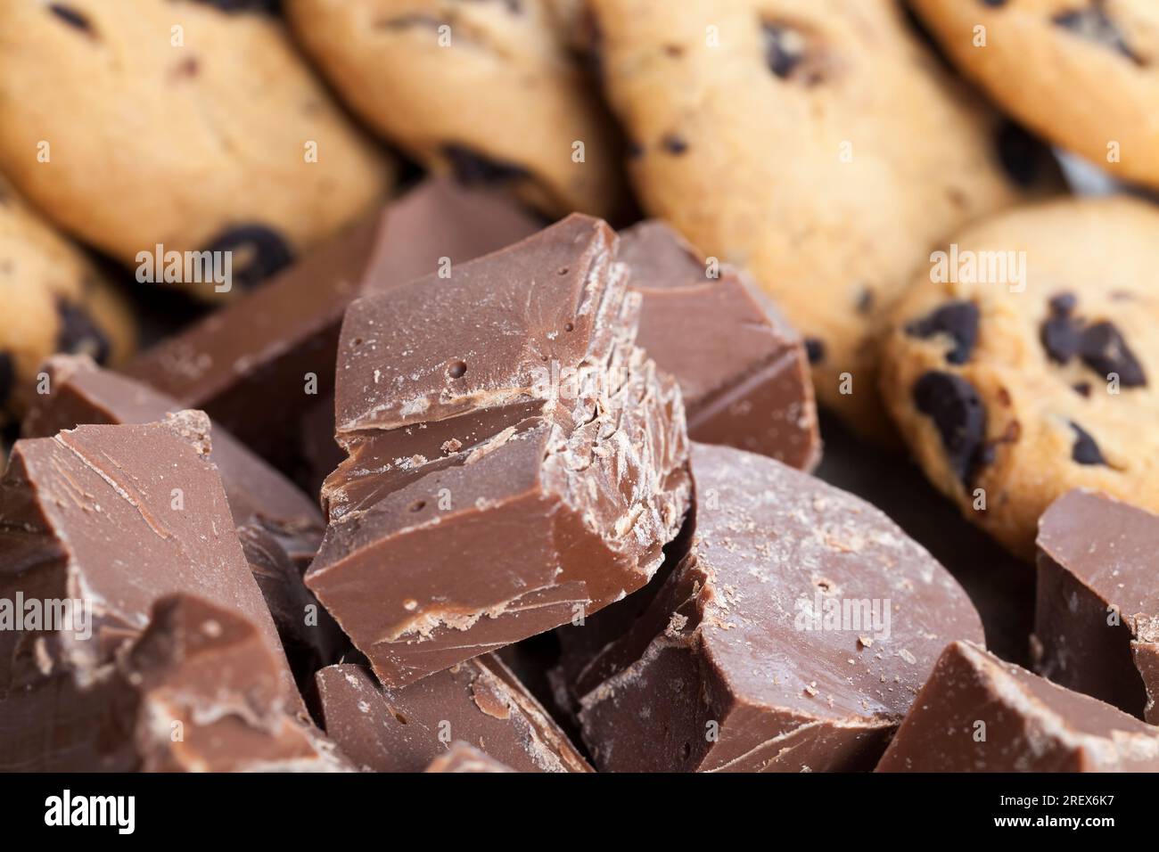 very sweet pieces of chocolate on the table, broken chocolate and wheat ...