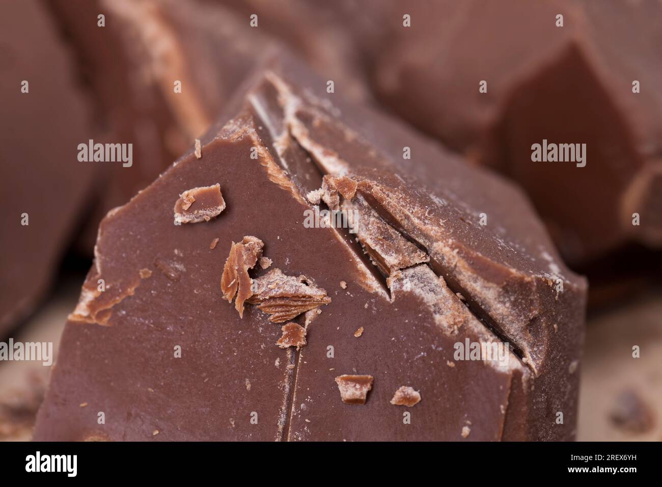 Real cocoa bean hi-res stock photography and images - Alamy