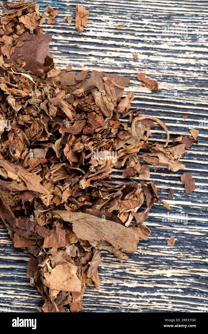 real tobacco from cigarettes, tobacco from broken and spoiled ...