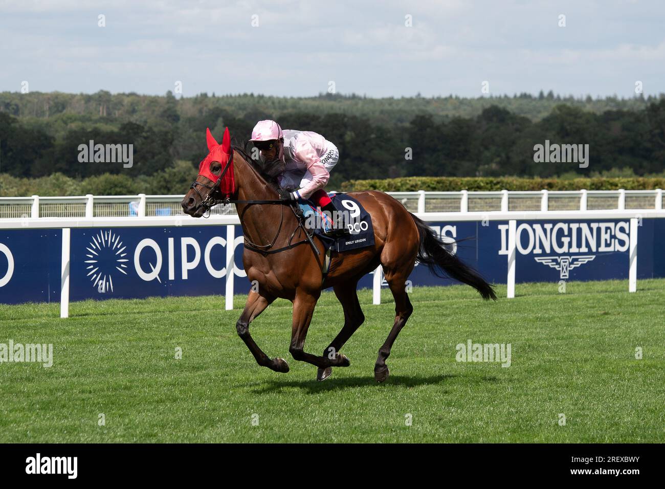 Emily upjohn hi-res stock photography and images - Alamy