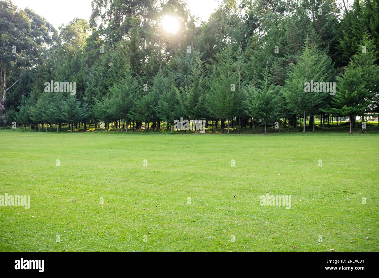 Kericho Golf Course Club Nairobi Road Londiani Kipkelion East Kenya ...