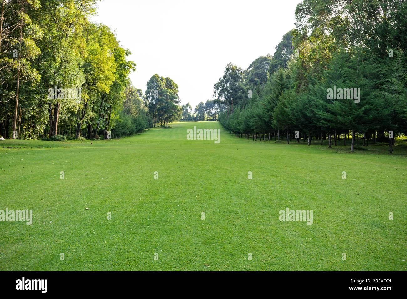 Kericho Golf Course Club Nairobi Road Londiani Kipkelion East Kenya ...