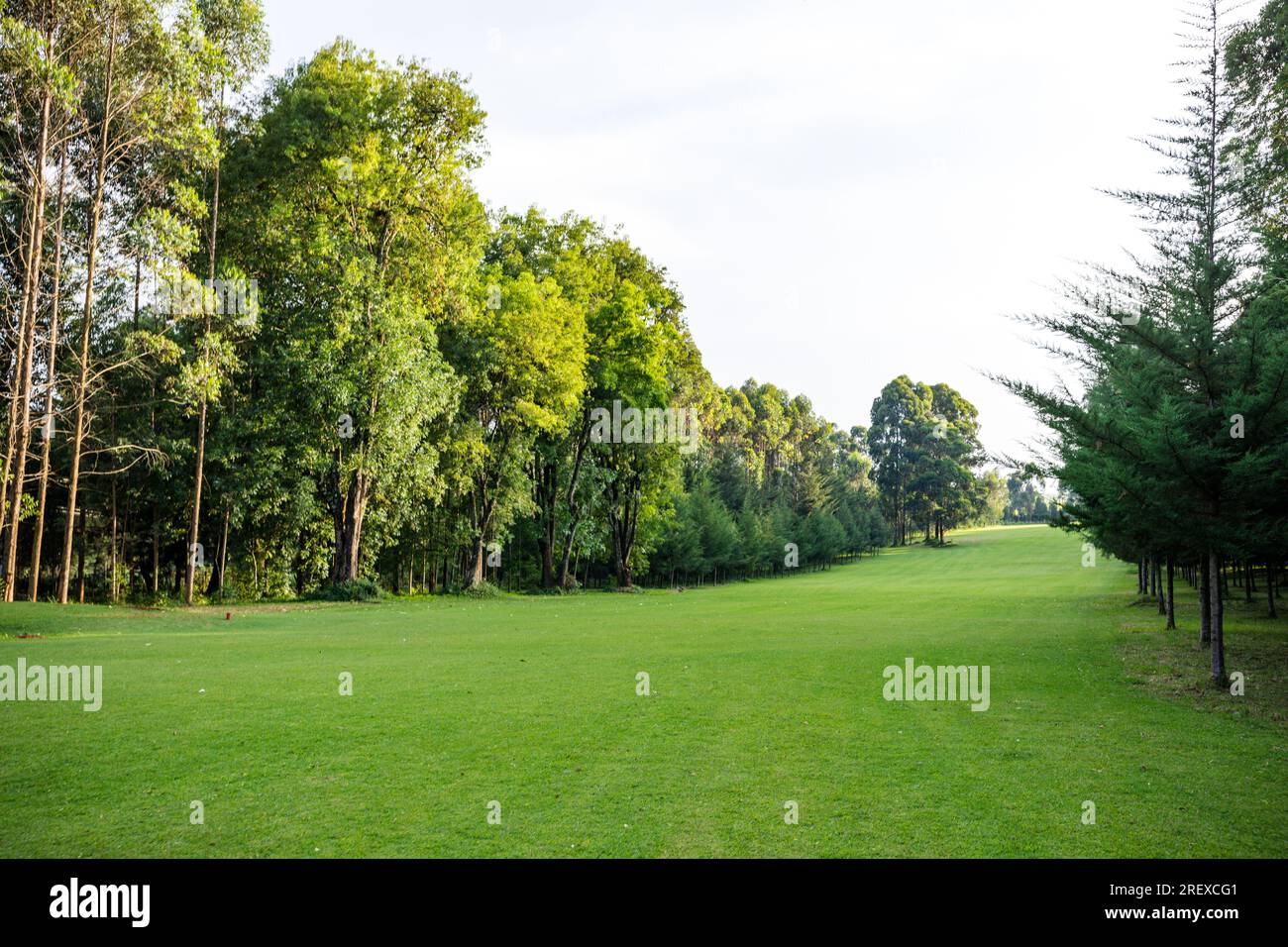 Kericho Golf Course Club Nairobi Road Londiani Kipkelion East Kenya ...