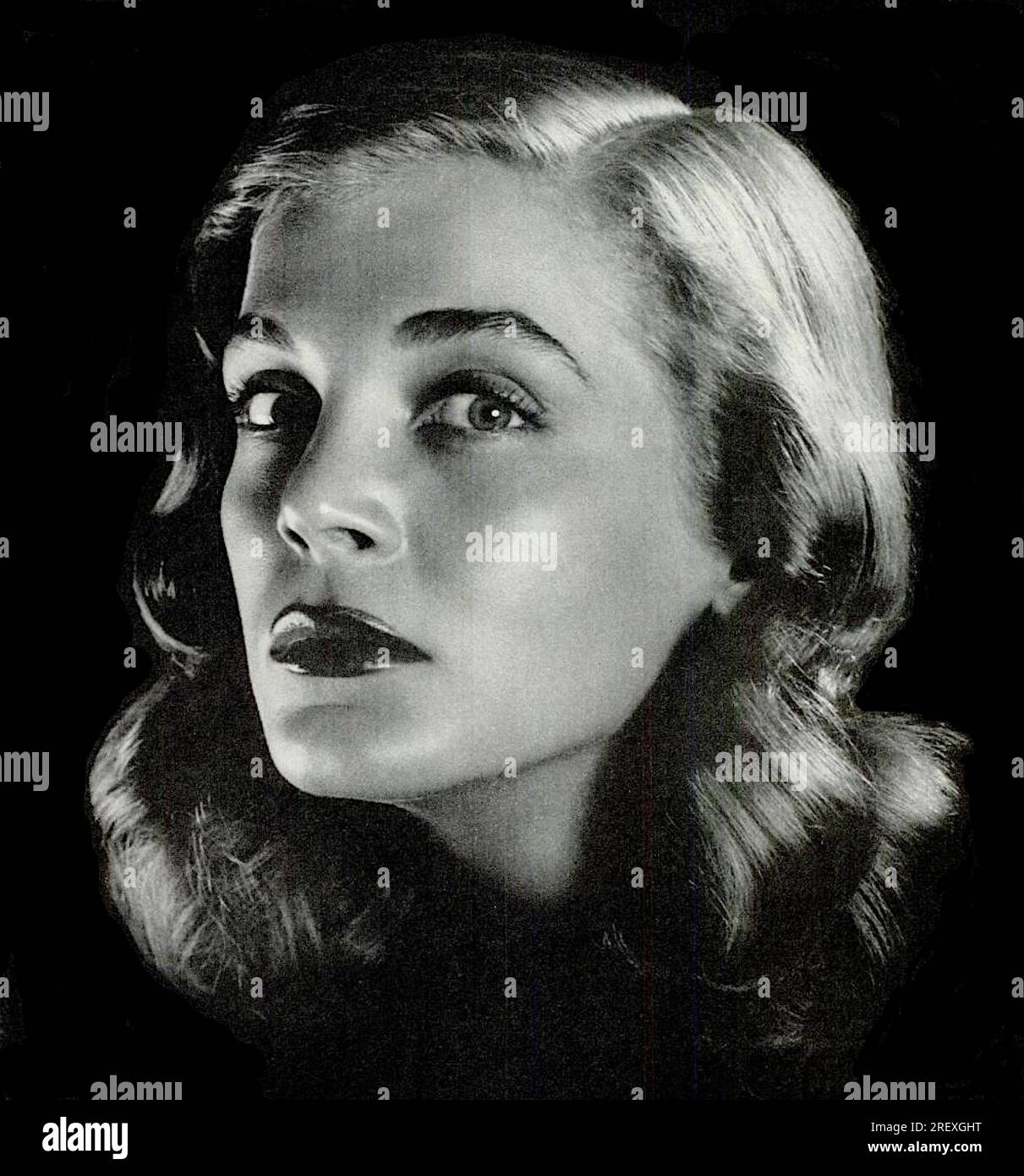 Lizabeth scott hi-res stock photography and images - Alamy