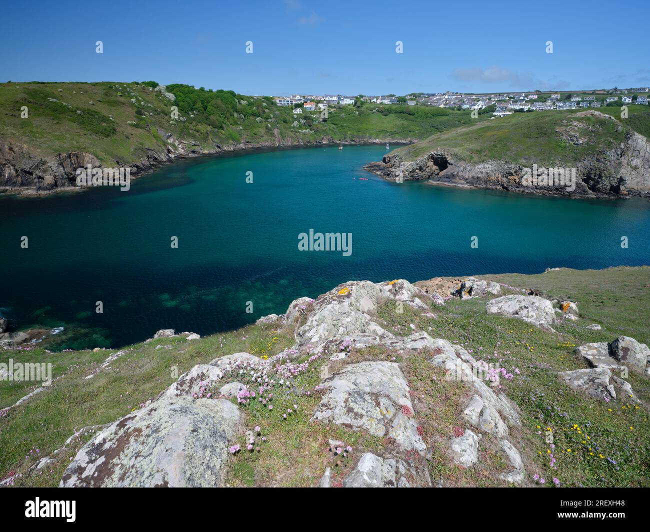 Solva harbour at high tide Stock Photo - Alamy