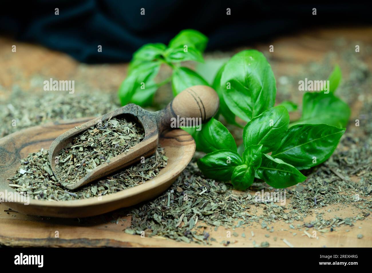 fresh dried basil Ocimum basilicum from our own garden Stock Photo - Alamy