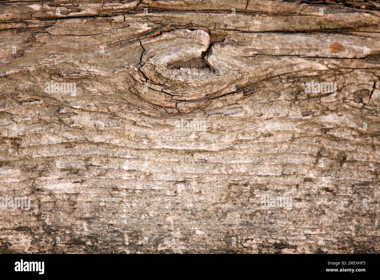 Very old wooden surface Stock Photo - Alamy
